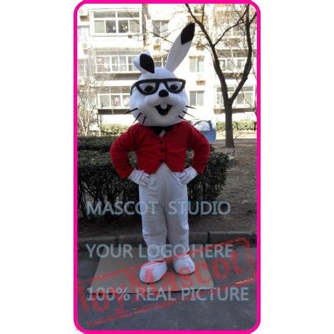 Easter Rabbit Bunny Mascot Costume