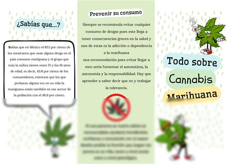 SOLUTION Folleto Tr Ptico Sobre La Marihuana Studypool