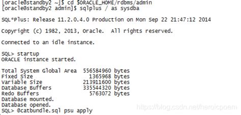 Oracle数据库升级：从10201到11204oracle102030 升级到11204 Csdn博客