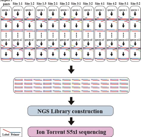 Figure 2 From Determination Of A Criminal Suspect Using Environmental Plant Dna Metabarcoding