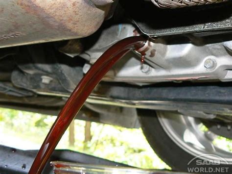 Ford Focus Transmission Fluid Change