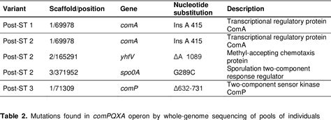 Table 1 From Adaptation Of Bacillus Subtilis Upon Interaction With
