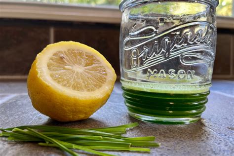 How To Make Wheatgrass Shots Without Fancy Equipment