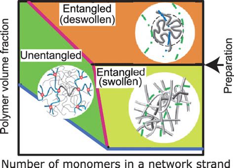 Scaling Theory Of Swelling And Deswelling Of Polymer Networks Macromolecules