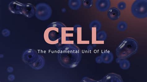 Cell Structure And Function Grade 7 Biologypptx