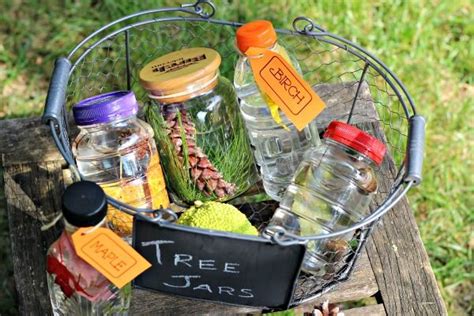 Tree Id Scavenger Hunt {w Free Printable Clues } Tree Identification