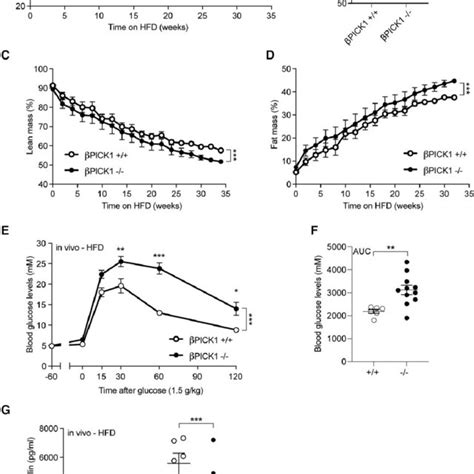 βpick1 Ko Mice In Vivo And Ex Vivo Display Decreased Insulin Secretion