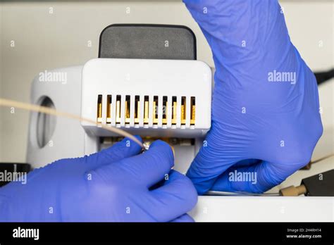 Close Up Laboratory Worker Connect A Needle To The Ion Source Of The
