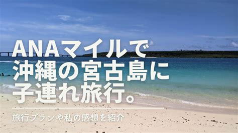 【免税とは？】日本人の海外赴任者が日本一時帰国時に消費税を免税でお得に買い物する方法を紹介（免税店ユニクロビックカメラドン・キホーテ