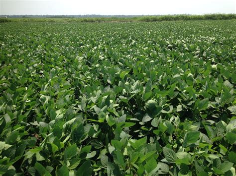 Nosotros Nam Agro New Agriculture Methods