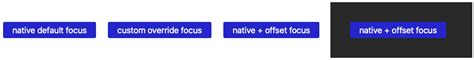 Dont Override Css Outline Focus Styles