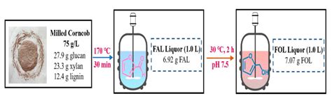 mass balance for chemoenzymatic cascade transformation of milled ccb