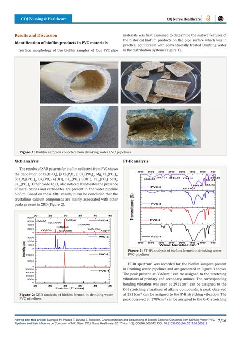 Isolation Characterization And Sequencing Of Biofilm Bacterial Consortia From Drinking Water