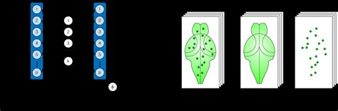 Bilinear Neural Network For Efficient Approximation Of Rpca Bear A