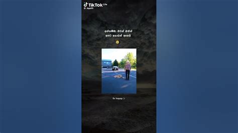 අත්තම්මා නිවන් ගිහින් අපට ගොඩක් ඈතයි😅😅 Youtube