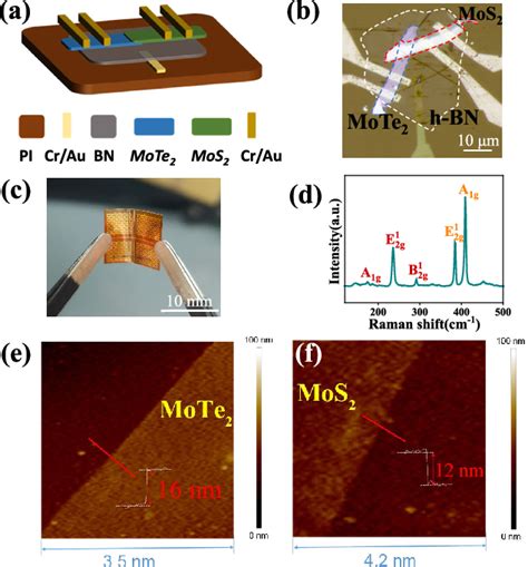 Figure 3 From Flexible Gas Sensor Based On Molybdenum Telluridemolybdenum Disulfide