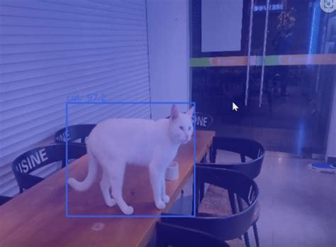 mmdetection代码课 csdn社区