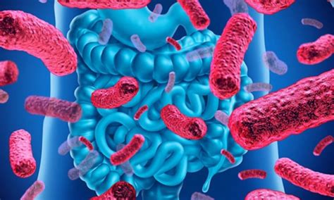 Probiotics Supplementation Promising Adjuvant Therapy For Patients With