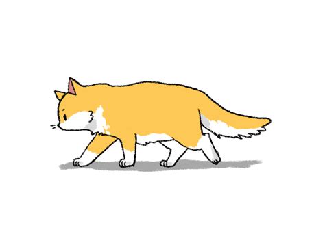 Cat Walking Animation