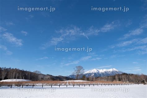 雪景色の開田高原 長野県の写真素材 210035050 イメージマート