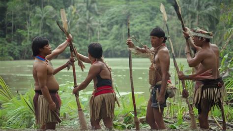 Uncontacted Amazon Tribe Faces Threats From Deforestation Video Reveals