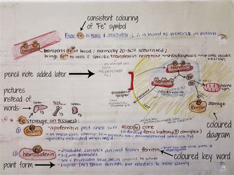 Winding Spiral Case How To Study Making Notes