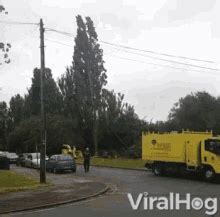 Tree Falling Gif GIFs Tenor Tree Falling Gif GIFs Tenor