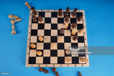 체스판에 흰색과 검은 색 나무 조각 파란색 배경에 게임 중에 설정 된 체스 보드 결정에 대한 스톡 사진 및 기타 이미지 결정 경기 스포츠 경쟁 Istock
