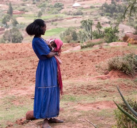 Bridging The Gap In Human Milk And Infant Nutrition The Borgen Project
