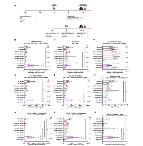 Pathology Outlines Eosinophils