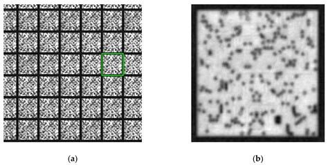 Automated Detection And Classification Of Defective And Abnormal Dies In Wafer Images
