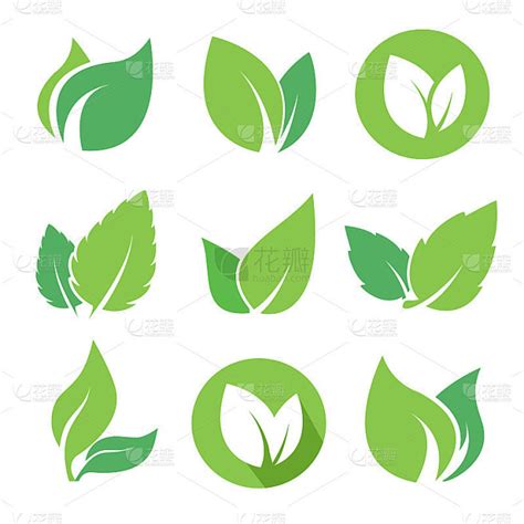 绿叶标志集为生态有机生物天然产品制药医药矢量平面图标收集孤立在白色背景EPS10