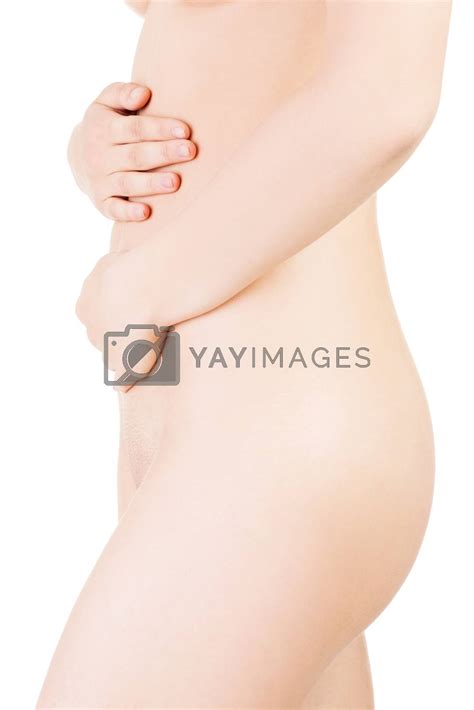 Female Sexy Naked Body Side View By Bds Vectors Illustrations With
