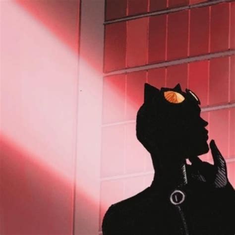Selina Kyle And Bruce Wayne Matching Icons Catwoman And Batman Matching Pfps Catwoman Comic