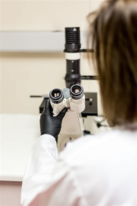 Cytotoxicity Assays