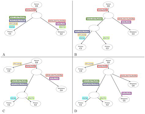 Cancer Phylogenies Each Panel Shows The Inferred Clonal Phylogeny