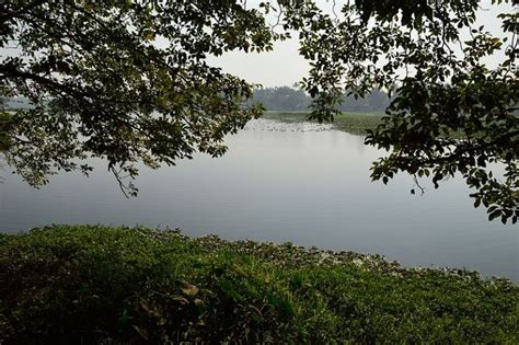 Santragachi Jheel Howrah What To Expect Timings Tips Trip