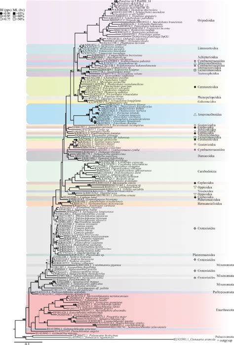 Bayesian Allcompat Consensus Tree Of 165 Representatives Covering All