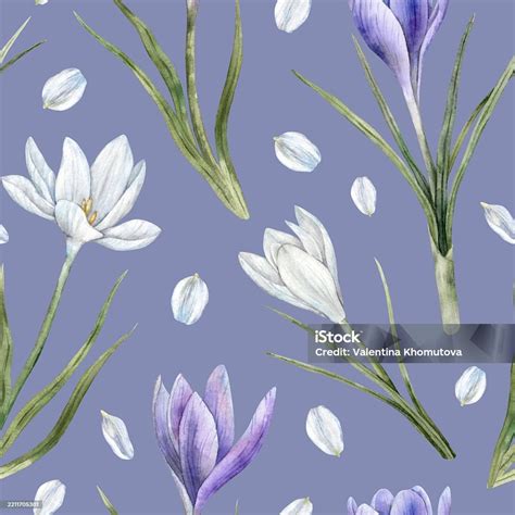 녹색 잎과 흰 꽃잎이 있는 자주색과 흰색 크로커스 자주색 배경에 수채화 봄 식물 완벽 한 패턴 결혼식 초대장 브랜딩 포장 직물에 적합합니다 0명에 대한 스톡 벡터 아트 및