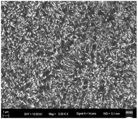 A Kind Of Preparation Method Of Zno Nanowire Array Eureka Patsnap