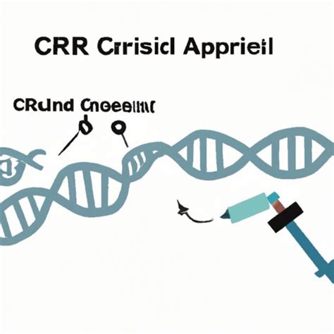 Exploring What Is Crispr Technology Benefits Risks And Future