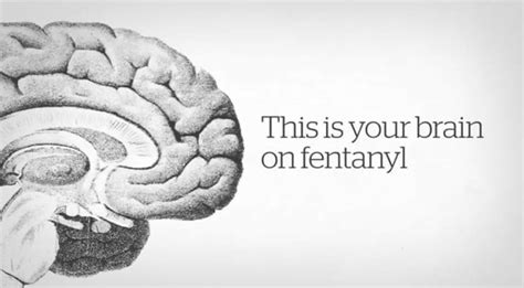 Opioid Vaccine Could Rein In Addictions Shot In Development Targets Fentanyl Blocks Drug From