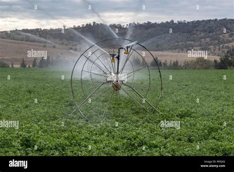 Farm Irrigation Sprinklers Watering Crops Stock Photo Alamy