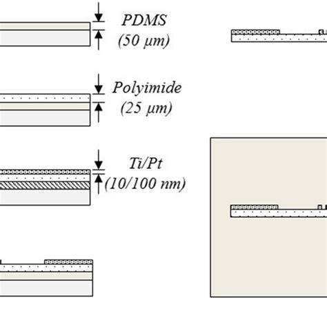 Fabrication Process Of The Thin Film Rtd Array A Pdms Spin Coating