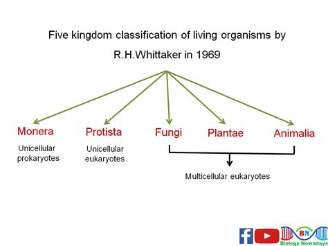 Biological Classification Biological Classification Class 11 Biological Classification Ncert
