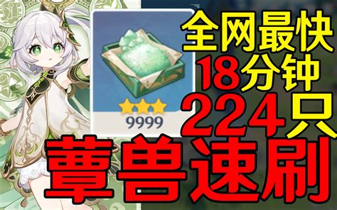 【原神】蕈兽孢子速刷路线【草神妮露提纳里突破材料】 象山摸鱼仔 默认收藏夹 哔哩哔哩视频