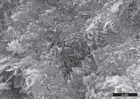 Sem Of A Cement Sample Download Scientific Diagram
