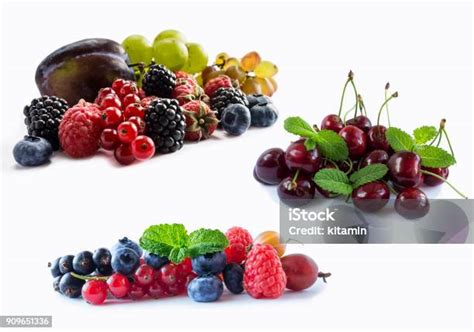신선한 과일과 열매의 집합입니다 익은 블루베리 블랙베리 붉은 건포도 포도 라스베리와 자 두 흰색 바탕에 다양 한 신선한 여름 딸기입니다 딸기 그리고 텍스트 복사 공간