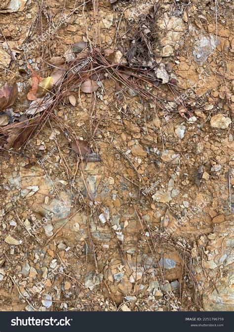 Surface Soil Texture Classification Instrument Used Stock Photo Shutterstock