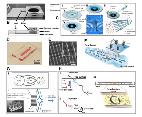 Recent Microfluidic Systems For Sorting Motile Sperm A B A Membrane